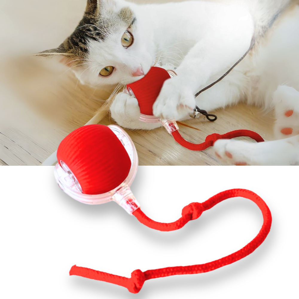 Interactive Cat Ball | Self rolling ball for cats | Electric cat ball toy
